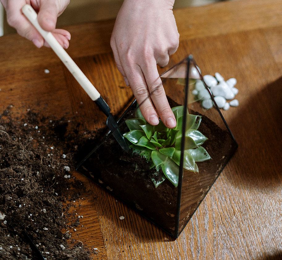 Small terrarium - Drev Creations